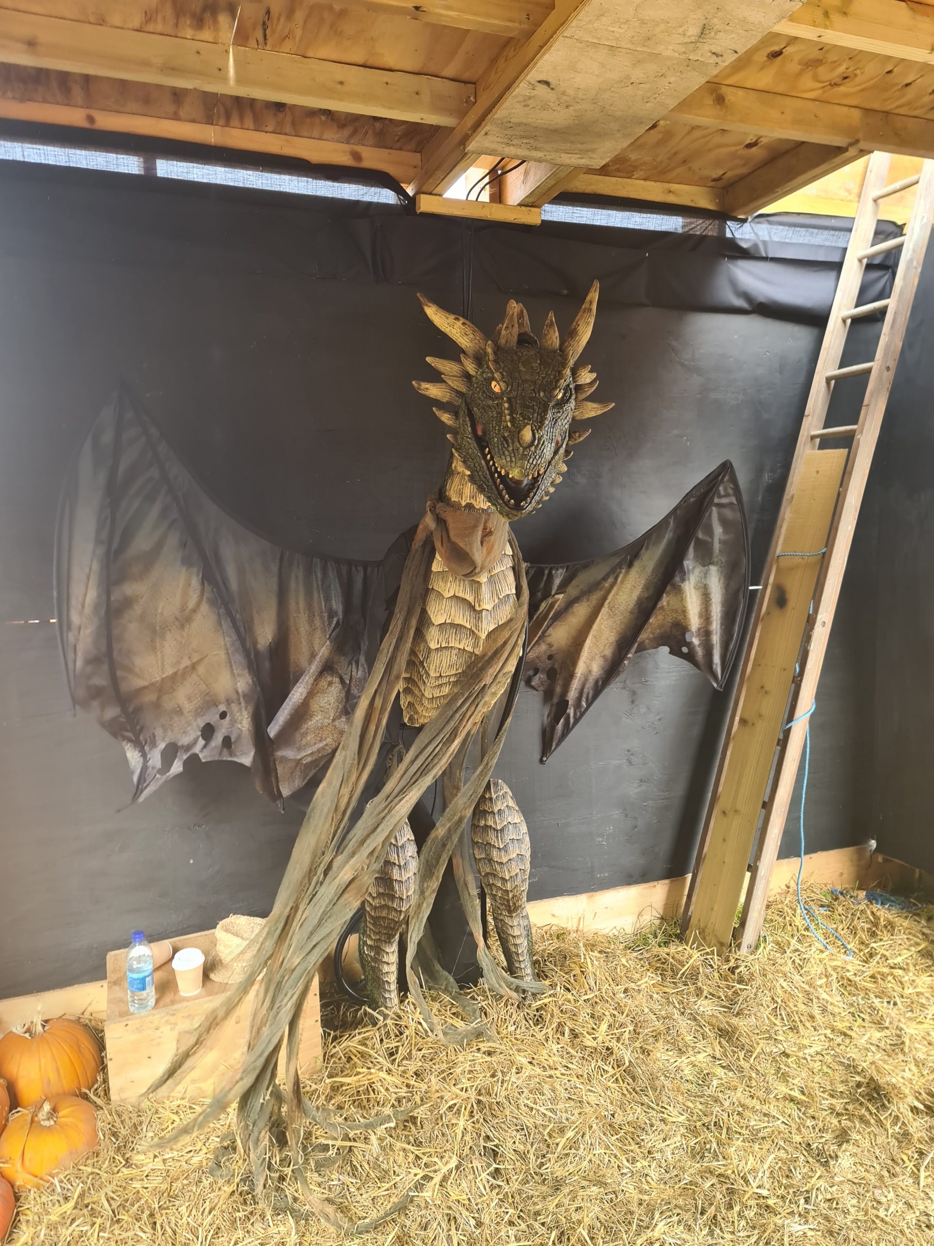 Halloween fun at Bishops Stortford Farm