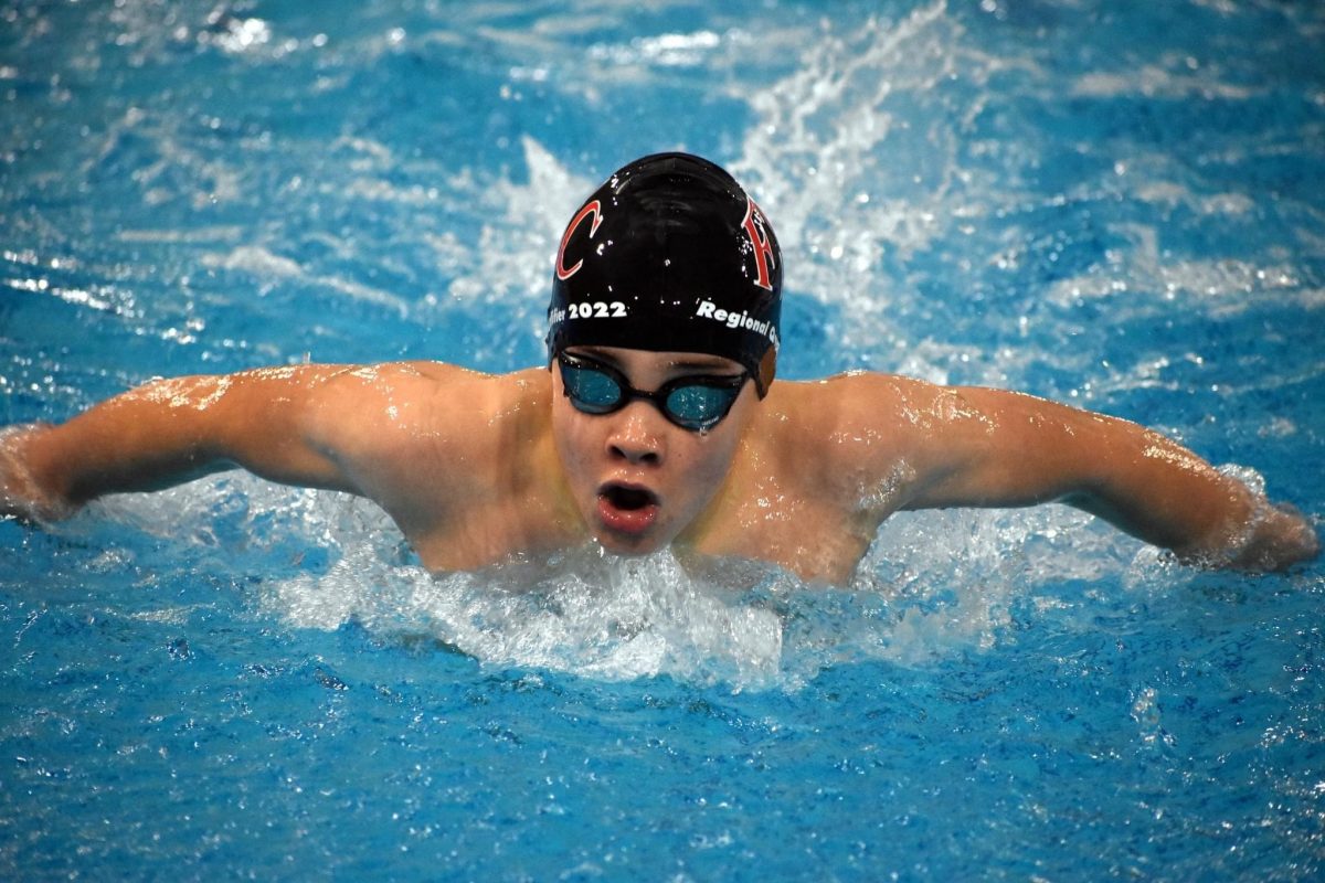 Haus Maids becomes proud sponsor of Farnham Swimming Club